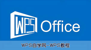 WPS Office免费版使用教程：全面提升办公效率-WPS官网-金山办公软件-WPS电脑版-WPS下载